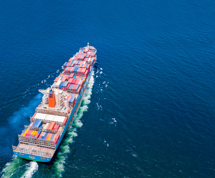 Holista Colltech Ltd